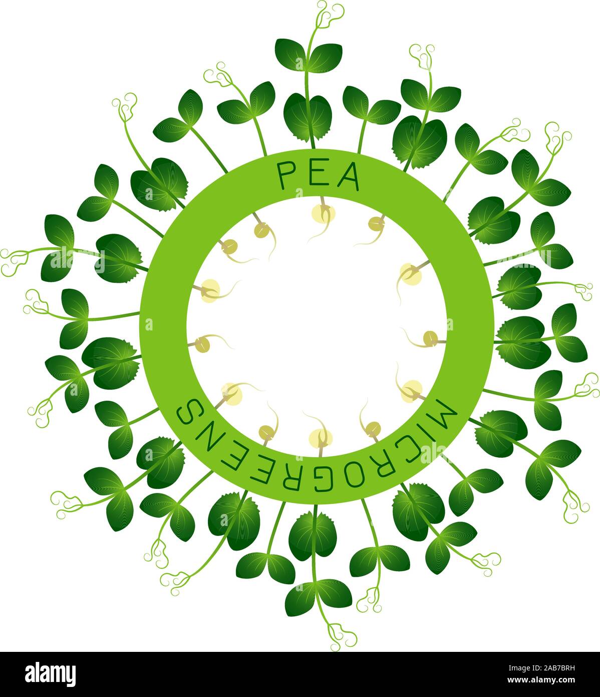 Pea logo design Stock Vector Images - Alamy