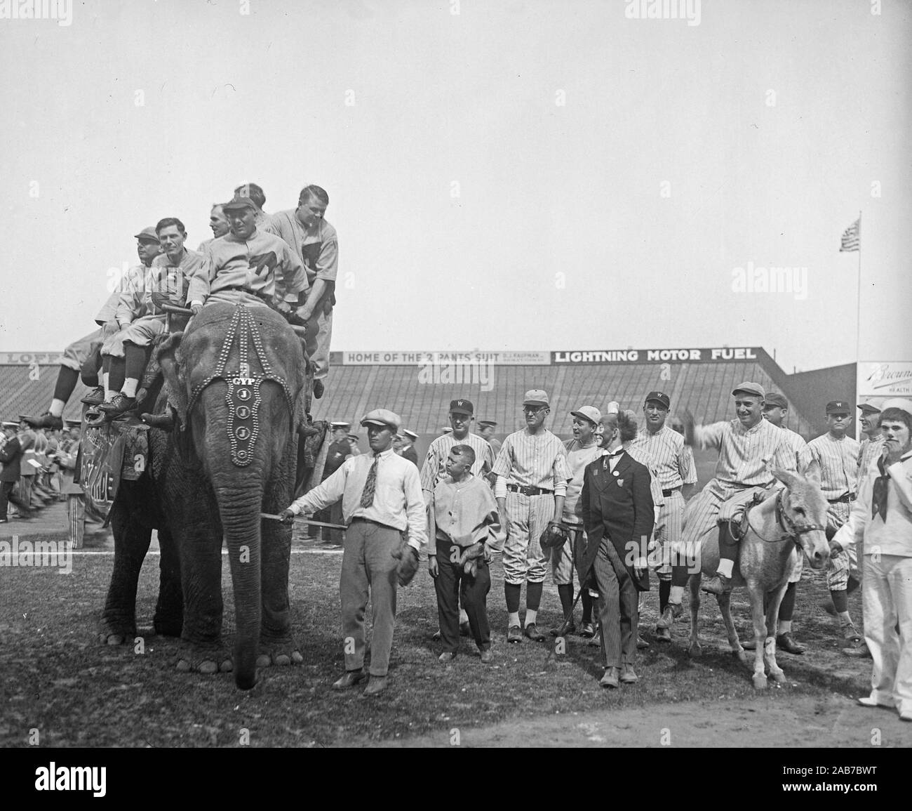Vintage baseball photos in 1920s - Baseball players riding an elephant ...