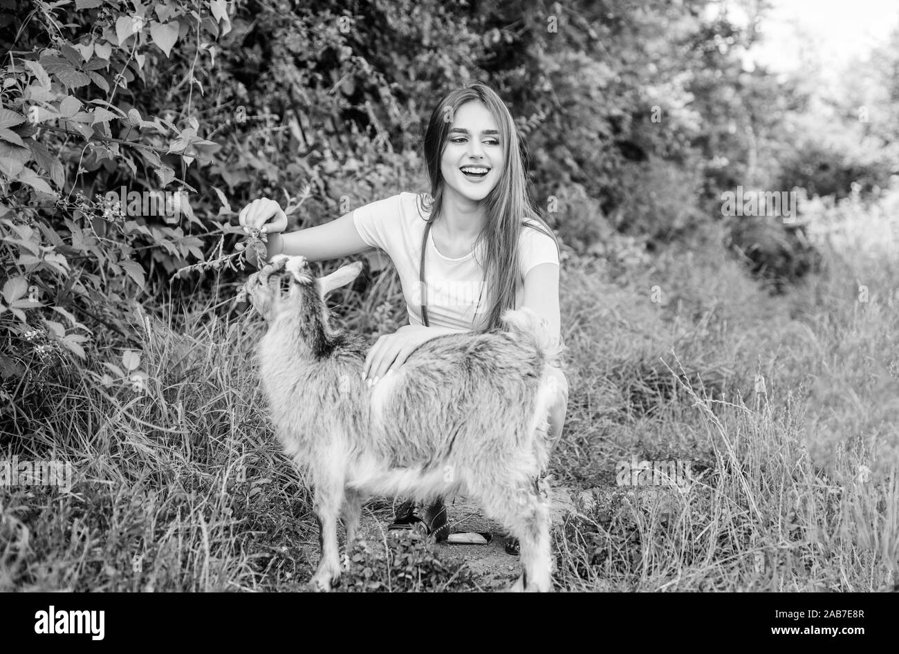 veterinarian care lamb goat. woman vet feeding goat. farm and farming ...