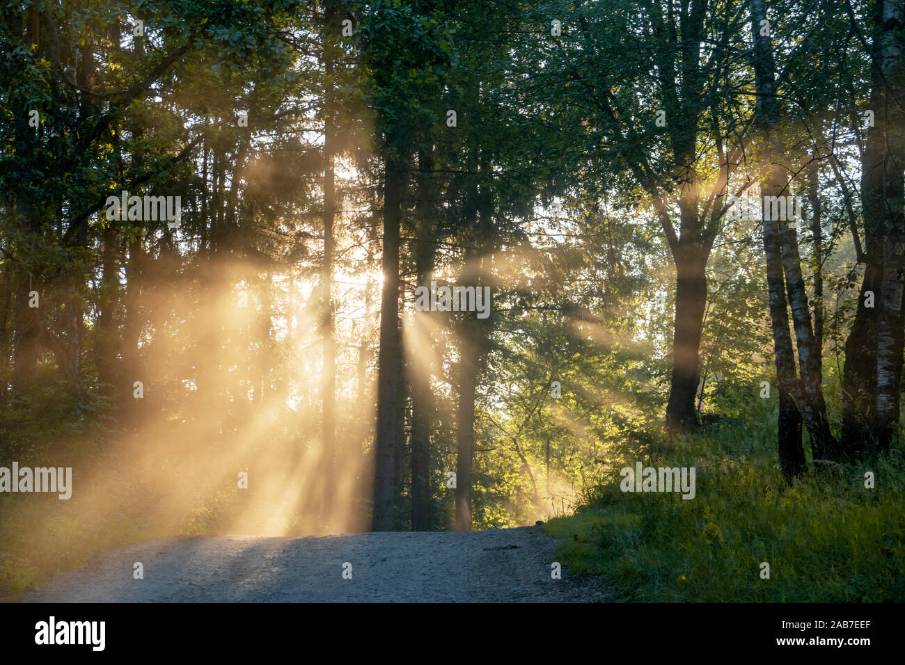 Sunbeams sun hi-res stock photography and images - Alamy
