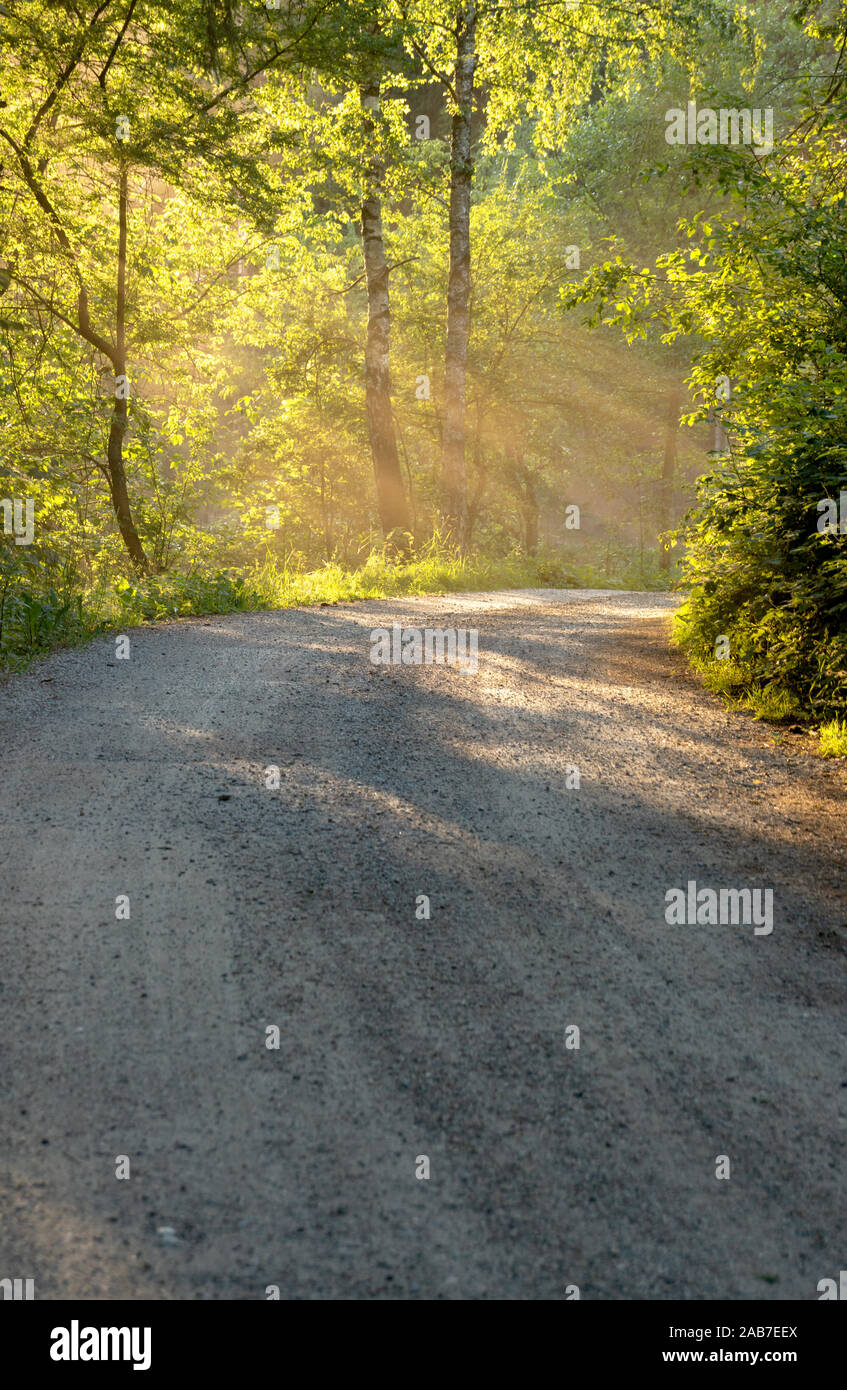 Sunbeams sun hi-res stock photography and images - Alamy
