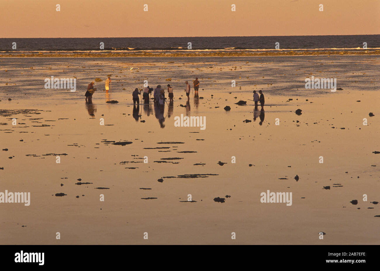Tourists on guided reef walk, learning about corals and the shallow ...