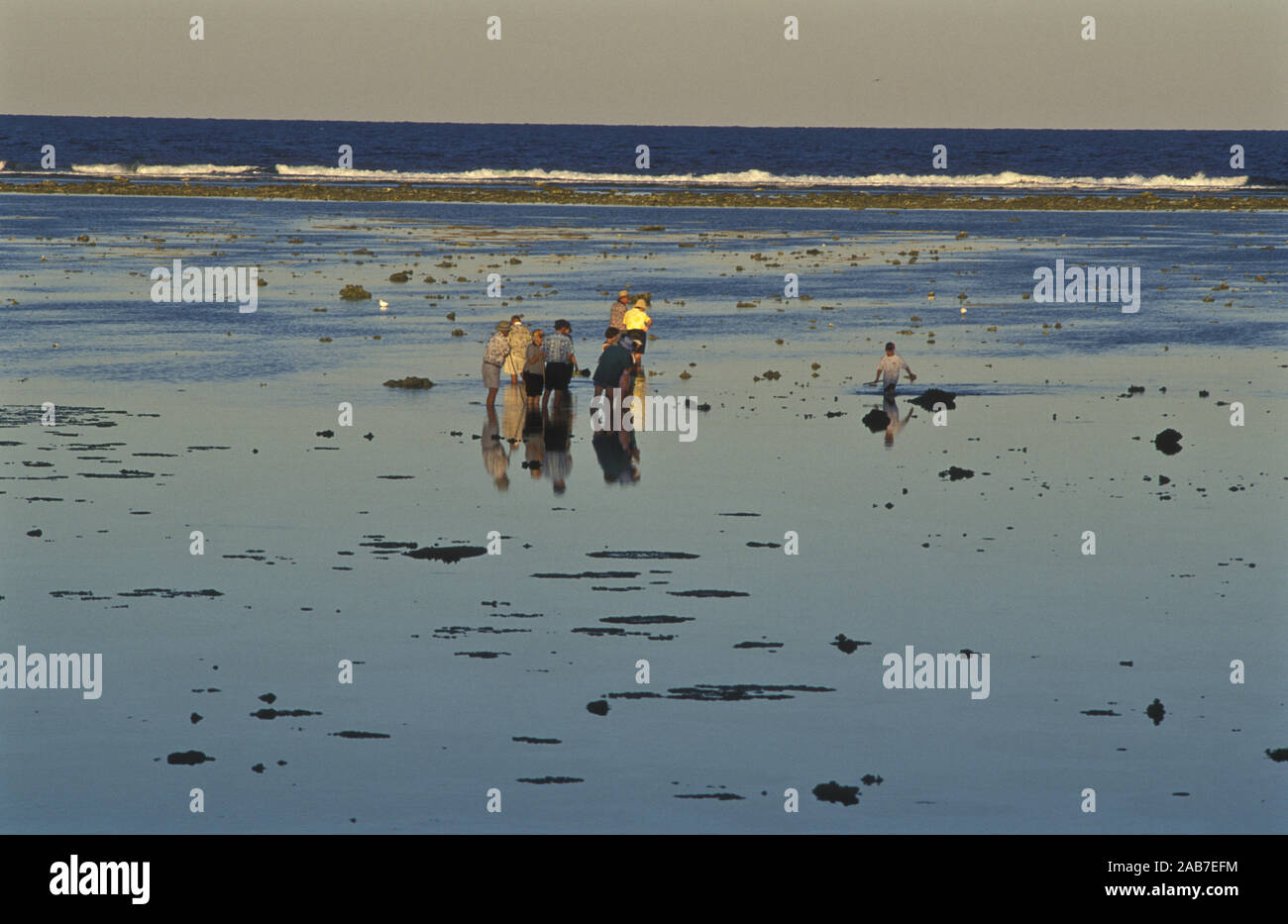Tourists on guided reef walk, learning about corals and the shallow ...