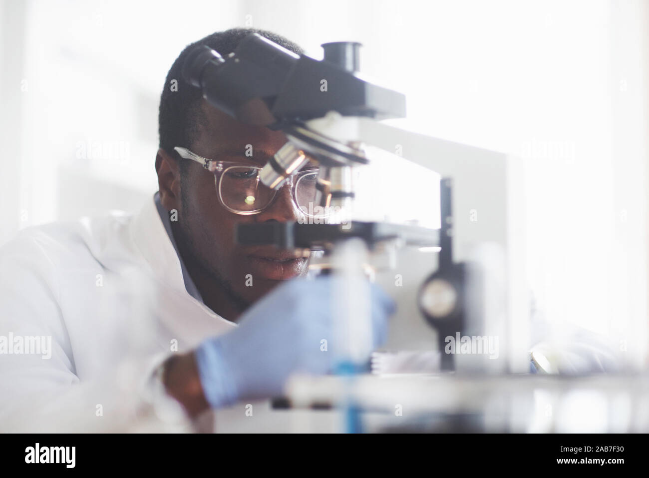 The scientist works with a microscope in a laboratory conducting ...