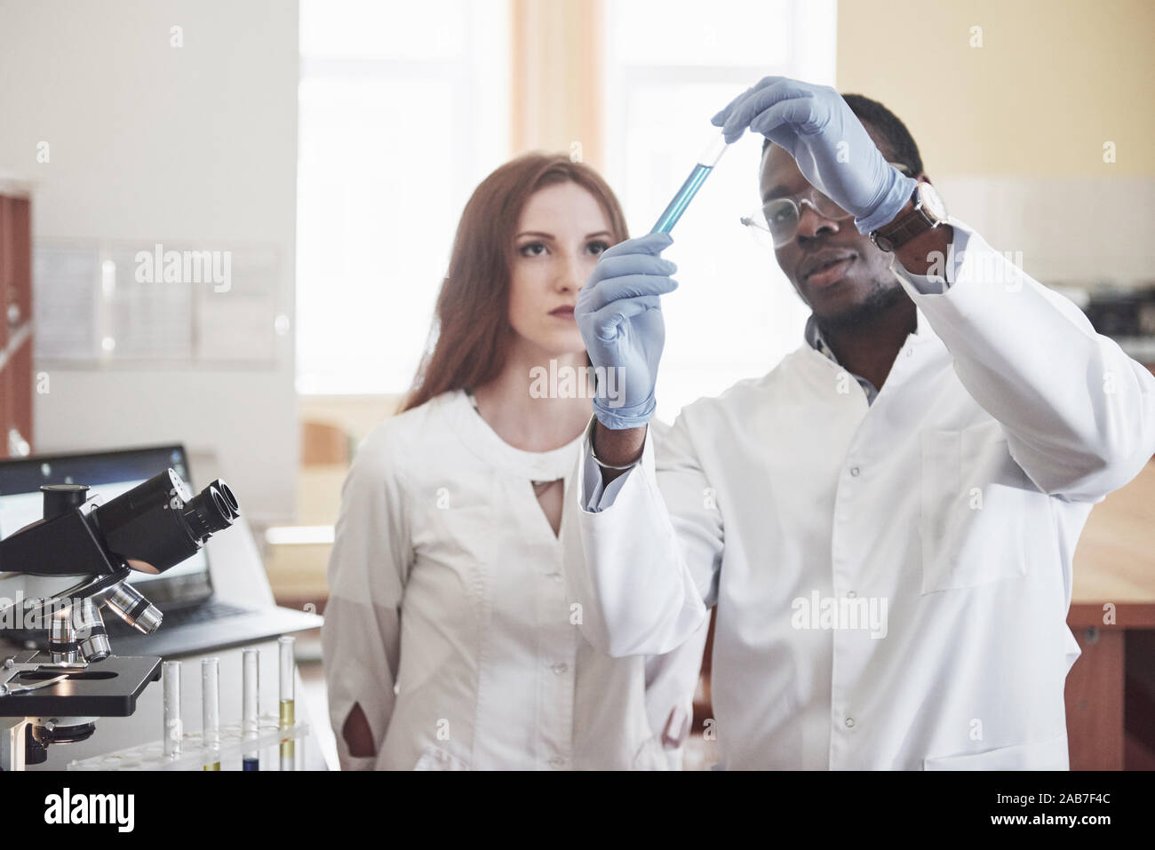 Laboratory laboratories conduct experiments in a chemical laboratory in ...