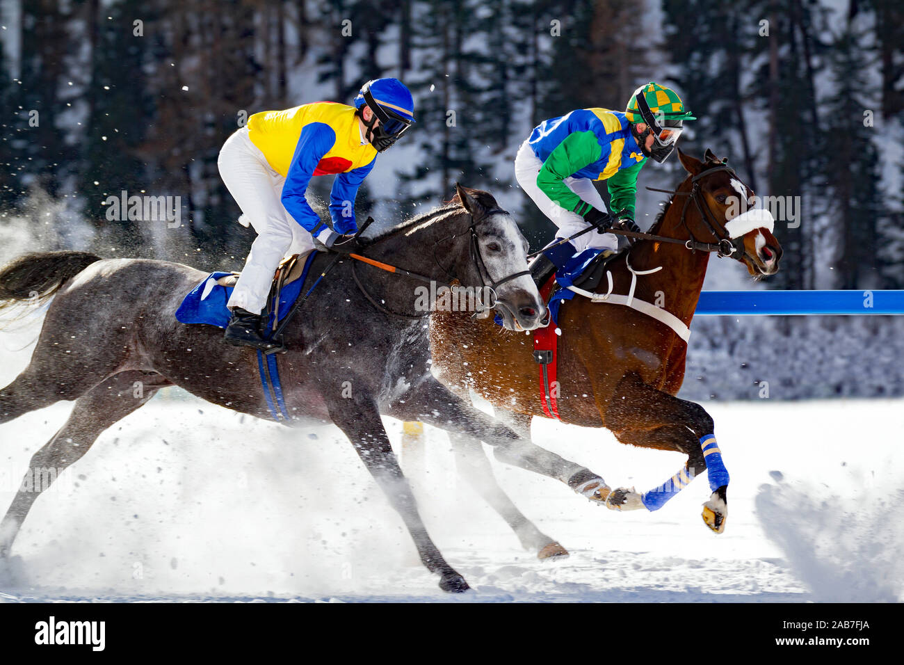 White Turf - Engadine - Switzerland Stock Photo - Alamy