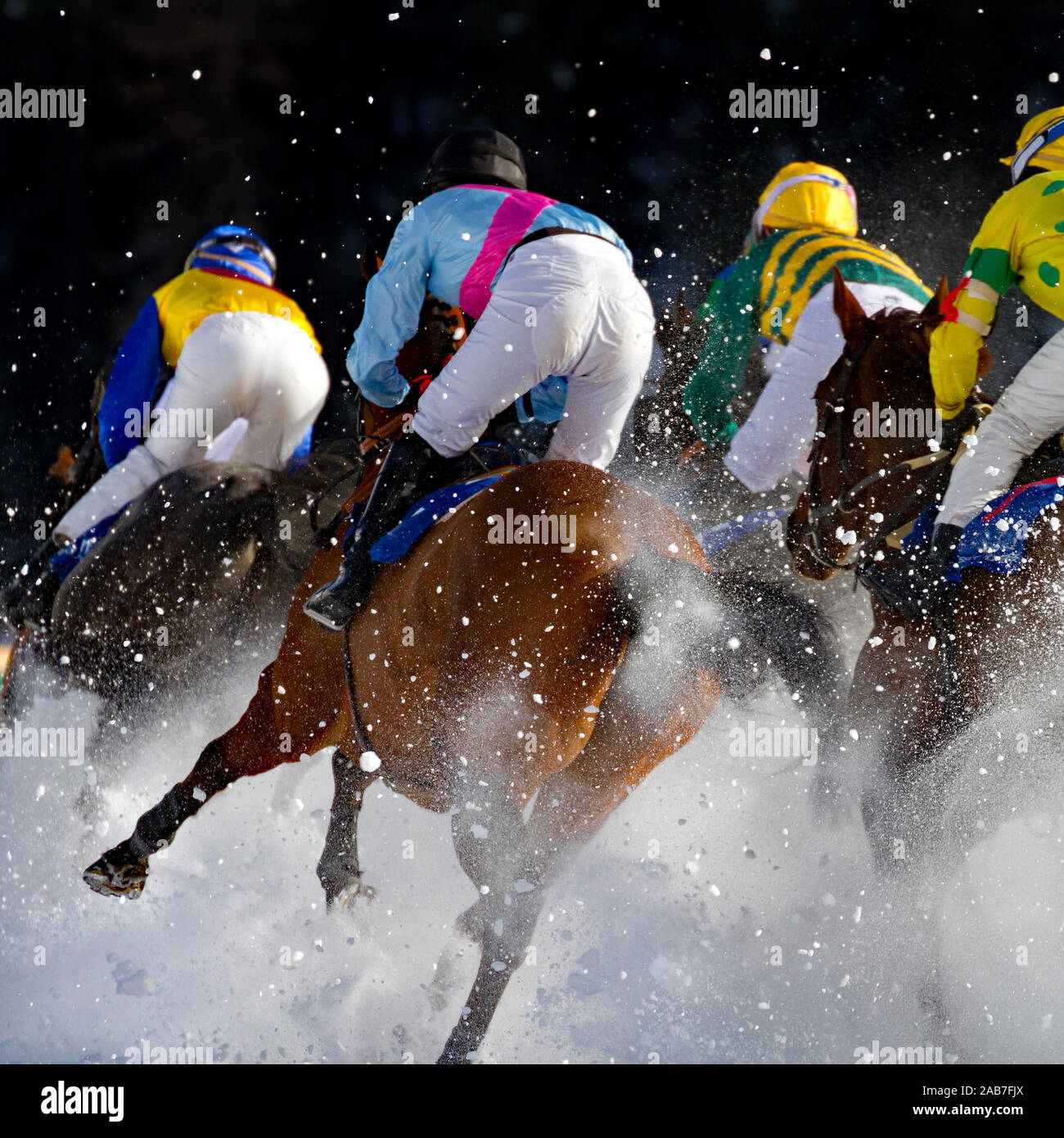 White Turf - Engadine - Switzerland Stock Photo - Alamy