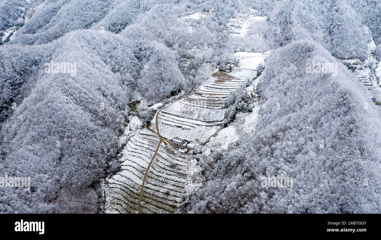 Daba mountain, China. 26th November, 2019. snow on Daba mountain ...