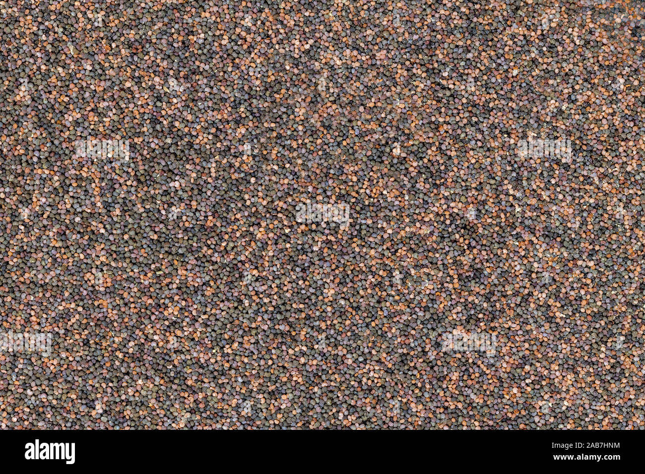 Spread poppy seeds hi-res stock photography and images - Alamy