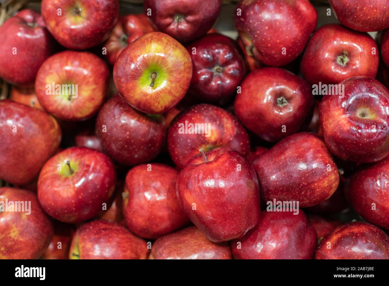 Red flblocks fruit background backdrop wallpaper banner. Winter apples ...