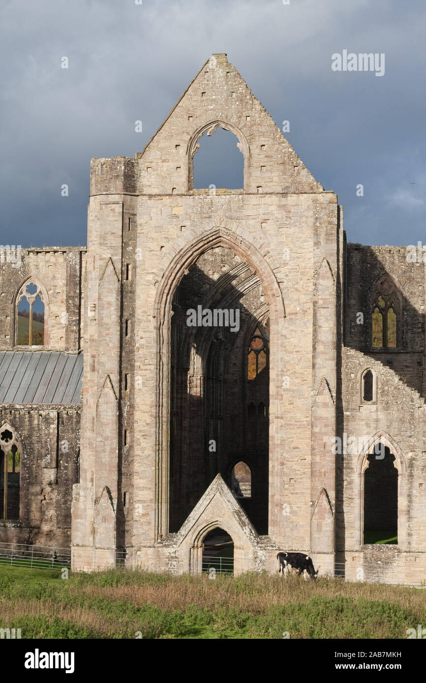 Grey abbey hi-res stock photography and images - Alamy