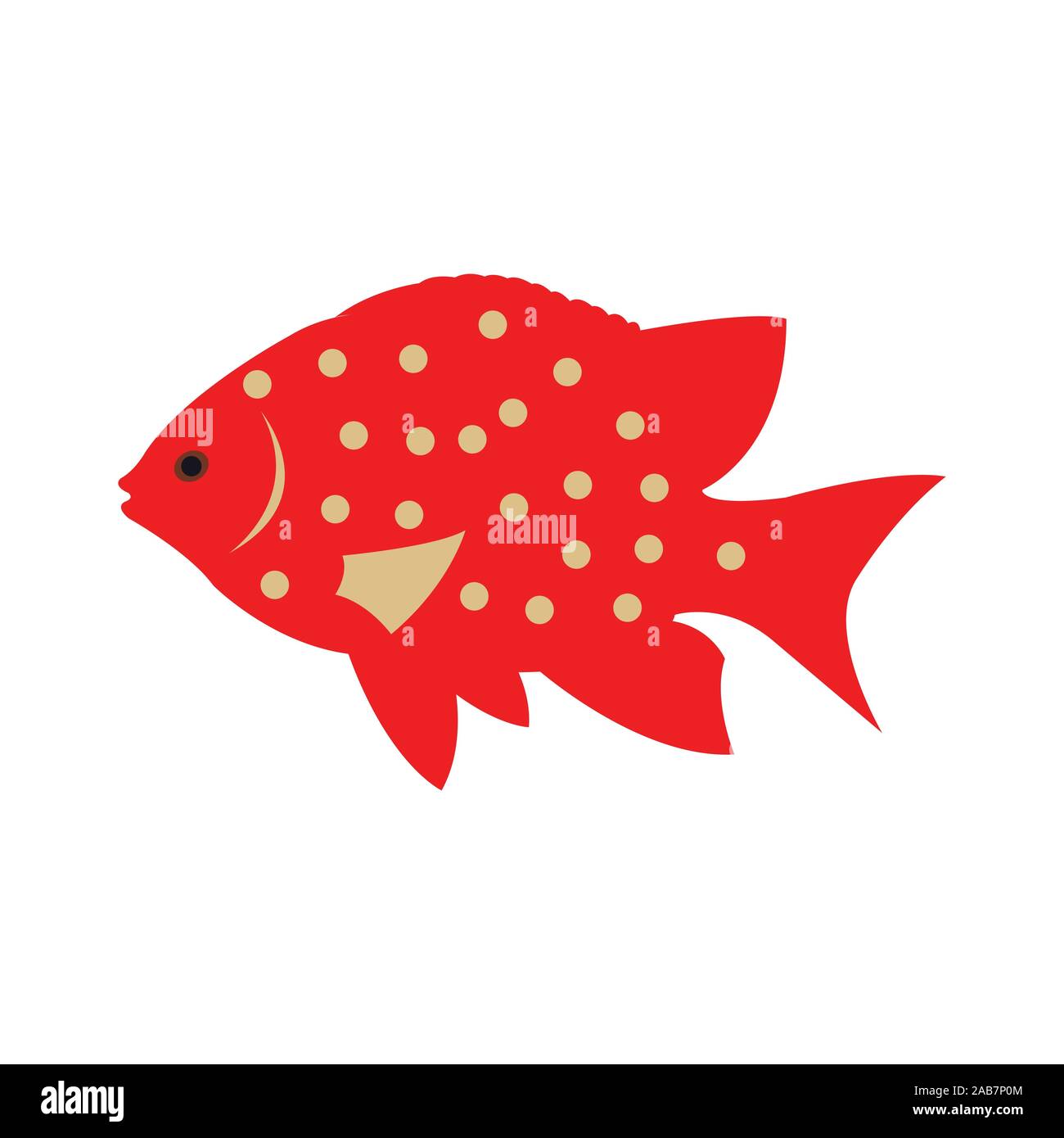 Egypt red sea fish Cut Out Stock Images & Pictures - Alamy