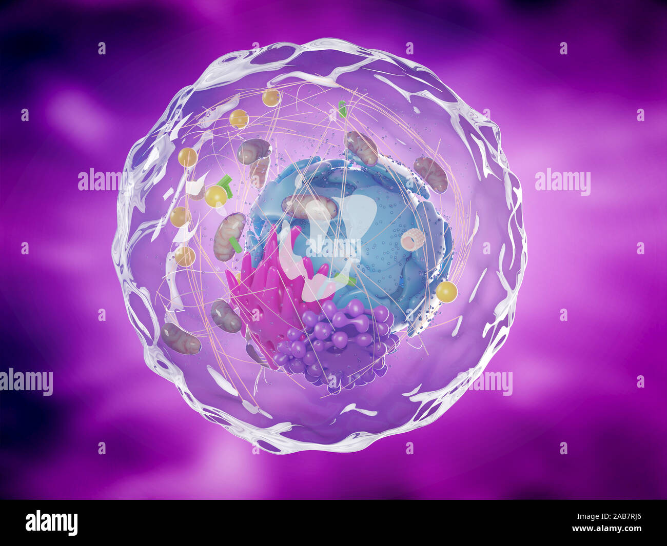 3d human body microscope hi-res stock photography and images - Alamy
