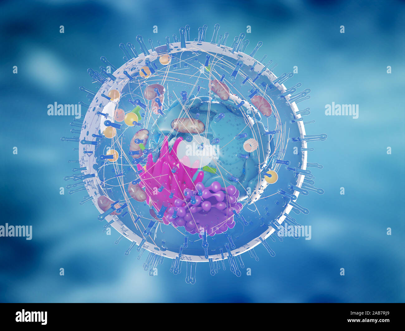 3d rendered illustration of a healthy human cell Stock Photo - Alamy