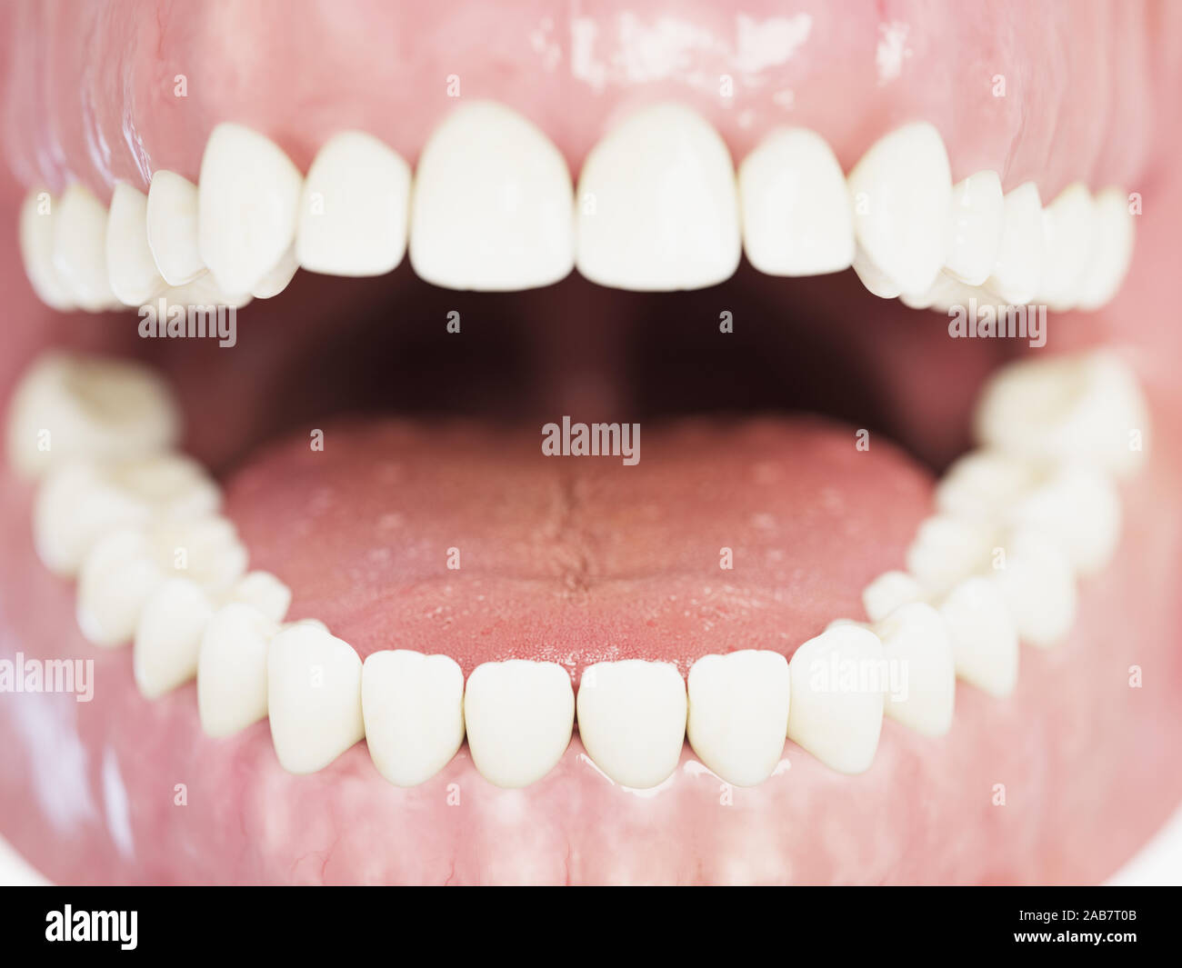 3d rendered illustration of the human teeth Stock Photo - Alamy