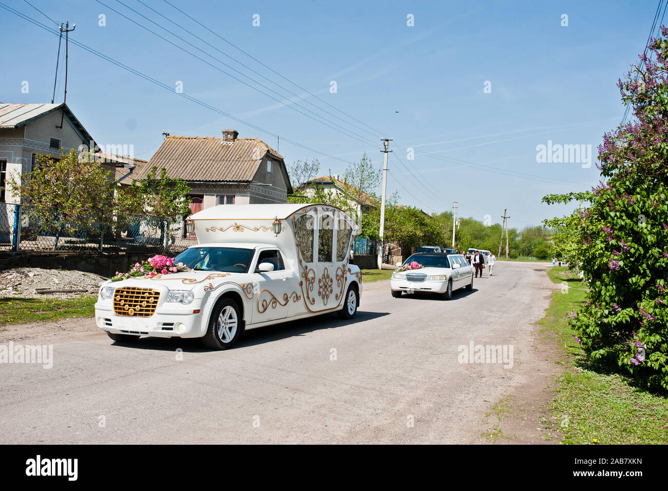 Elegance wedding carriage limousine car with floral decoration Stock ...