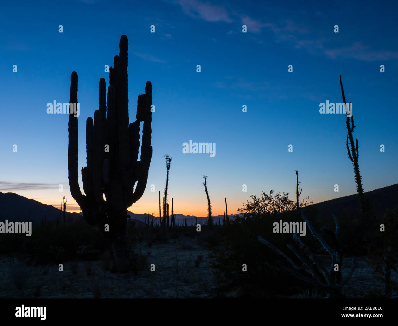 Desert landscape baja california mexico hi-res stock photography and ...