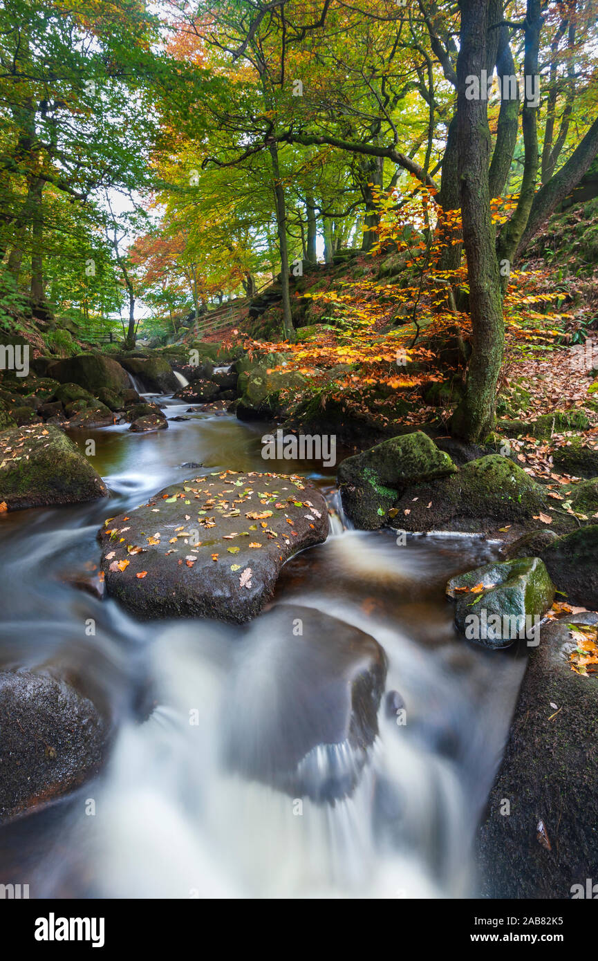 Padley Gorge In Autumn Colours Peak District National Park Derbyshire