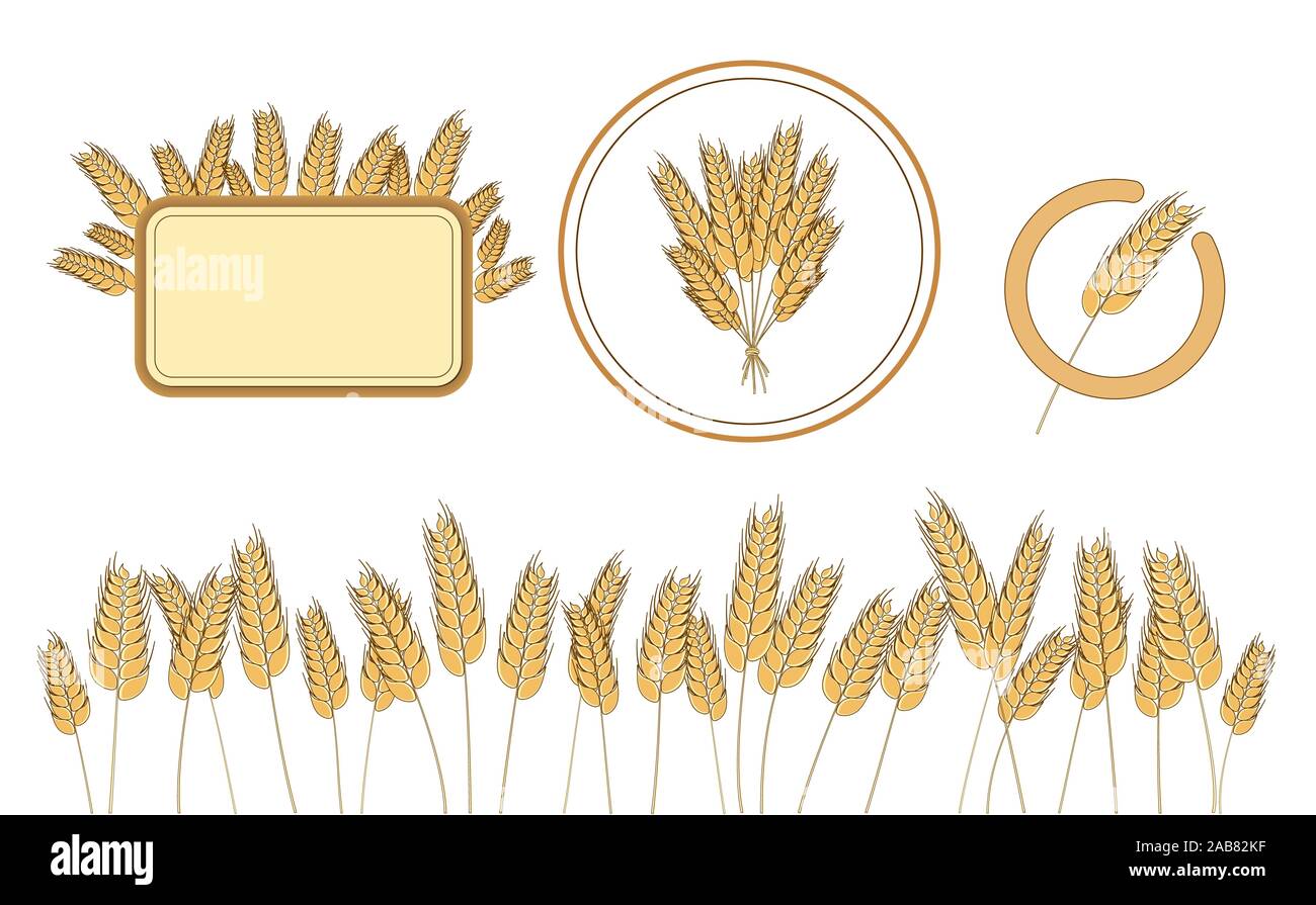 Bread Wheat Vector
