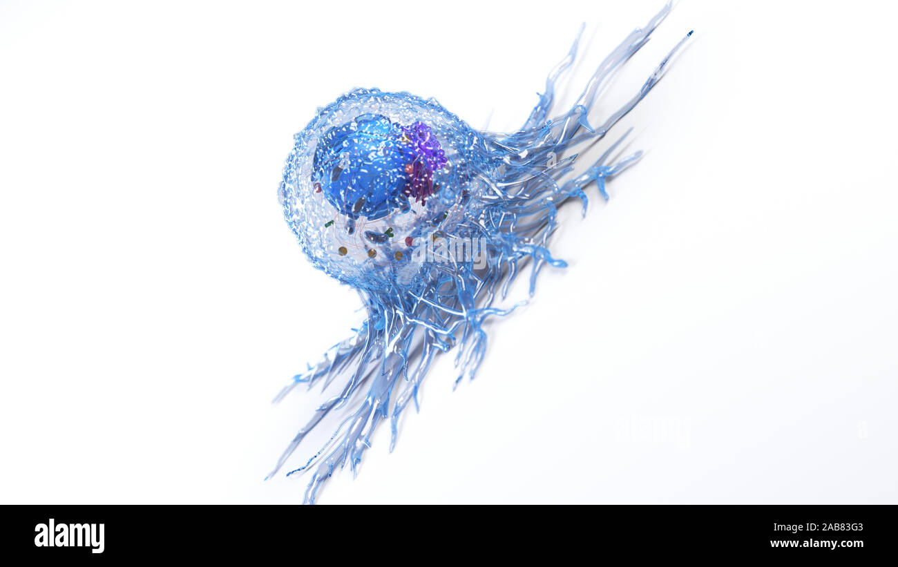 3d rendered illustration of the anatomy of a cancer cell Stock Photo ...
