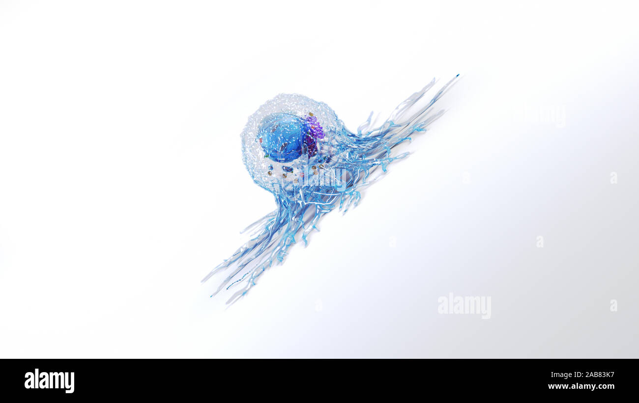 3d rendered illustration of the anatomy of a cancer cell Stock Photo ...