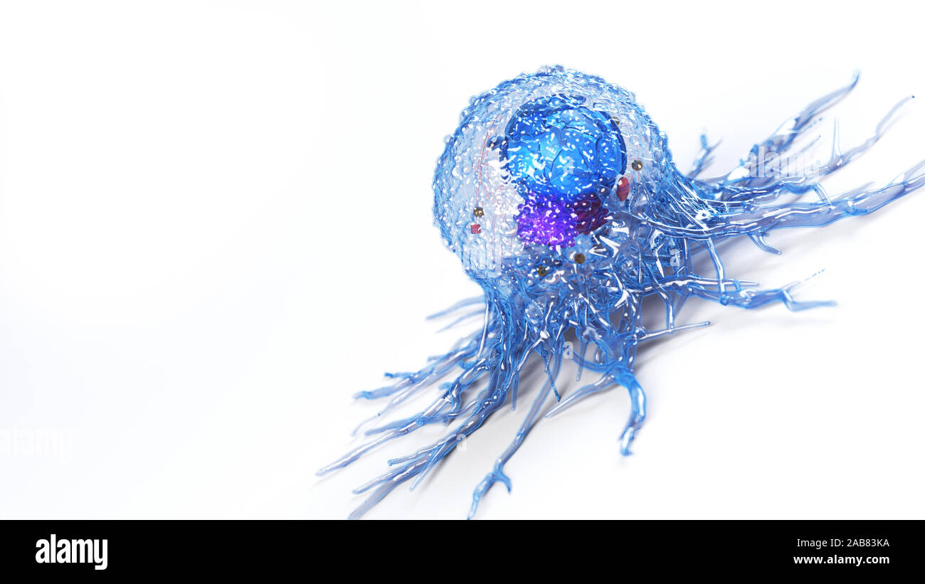 3d rendered illustration of the anatomy of a cancer cell Stock Photo ...