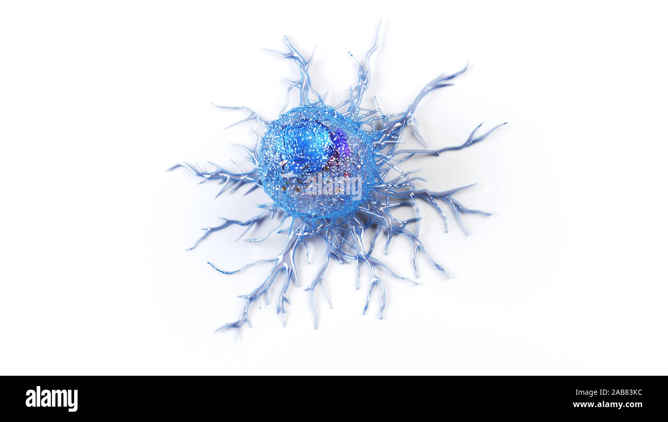 3d rendered illustration of the anatomy of a cancer cell Stock Photo ...