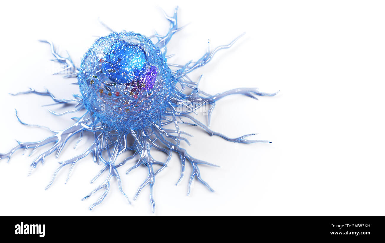 3d rendered illustration of the anatomy of a cancer cell Stock Photo ...