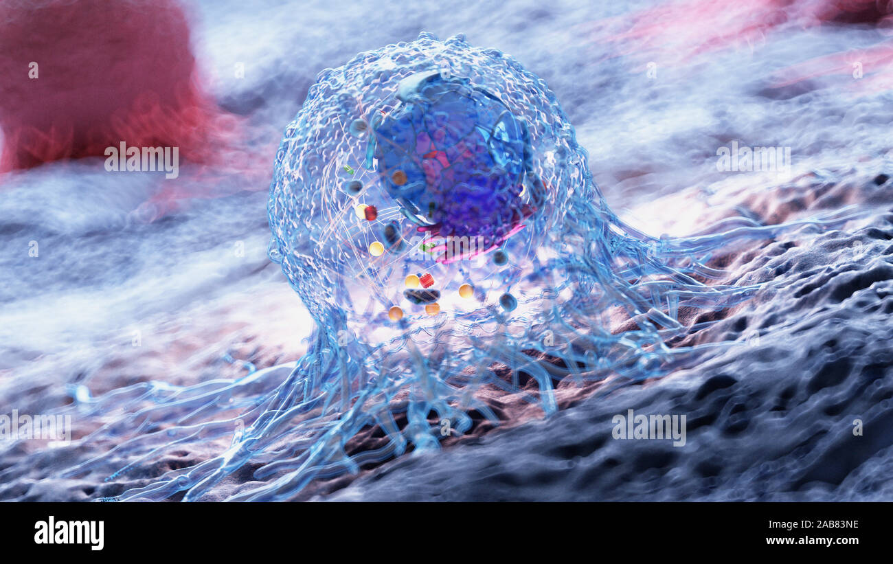3d rendered illustration of the anatomy of a cancer cell Stock Photo ...