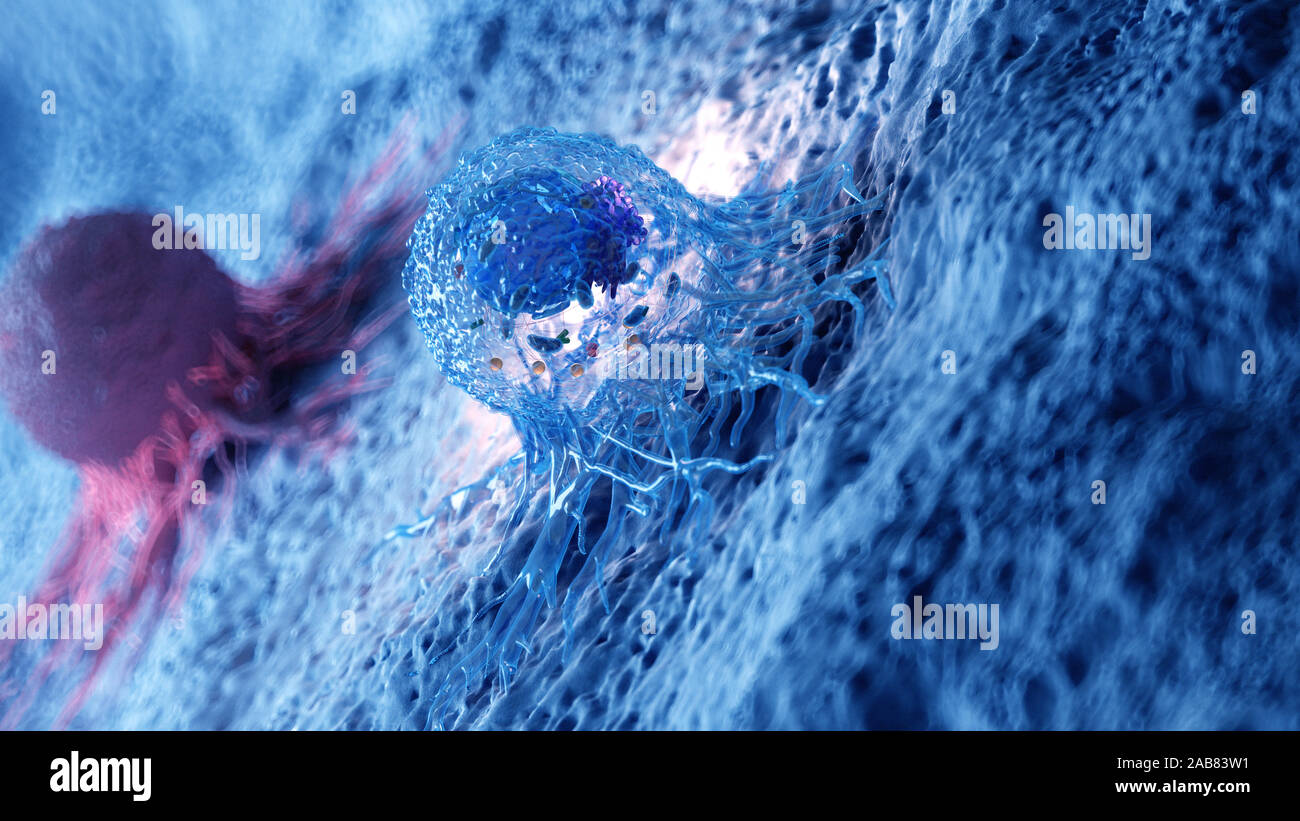 3d rendered illustration of the anatomy of a cancer cell Stock Photo ...