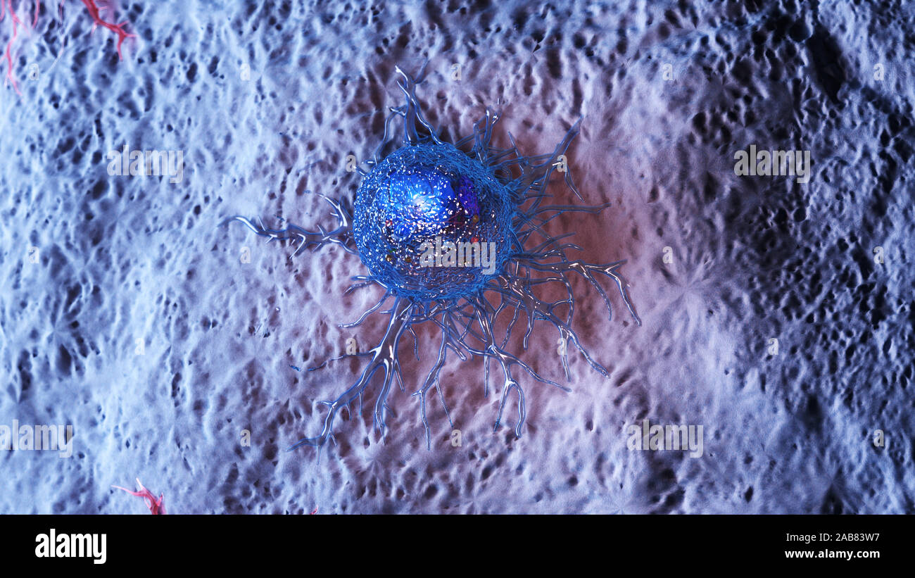 3d rendered illustration of the anatomy of a cancer cell Stock Photo ...