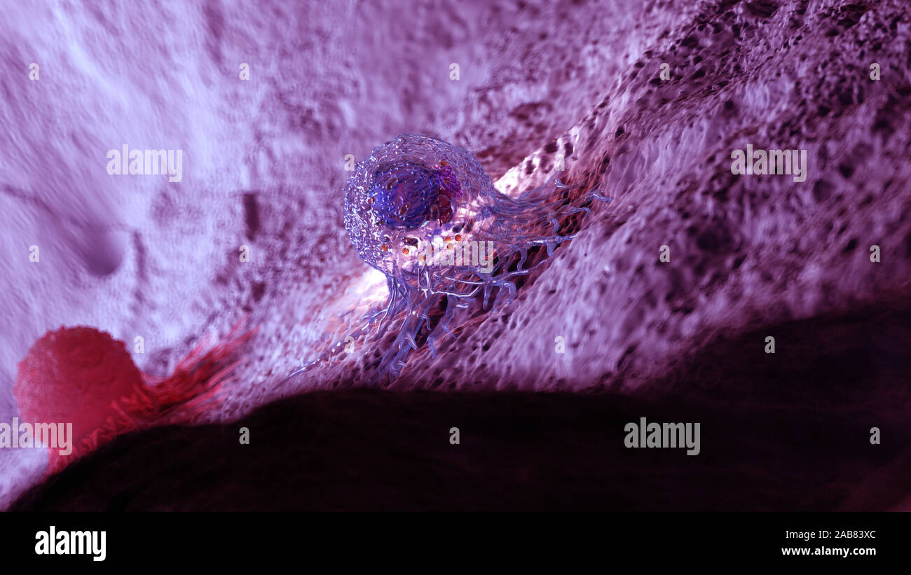 3d rendered illustration of the anatomy of a cancer cell Stock Photo ...
