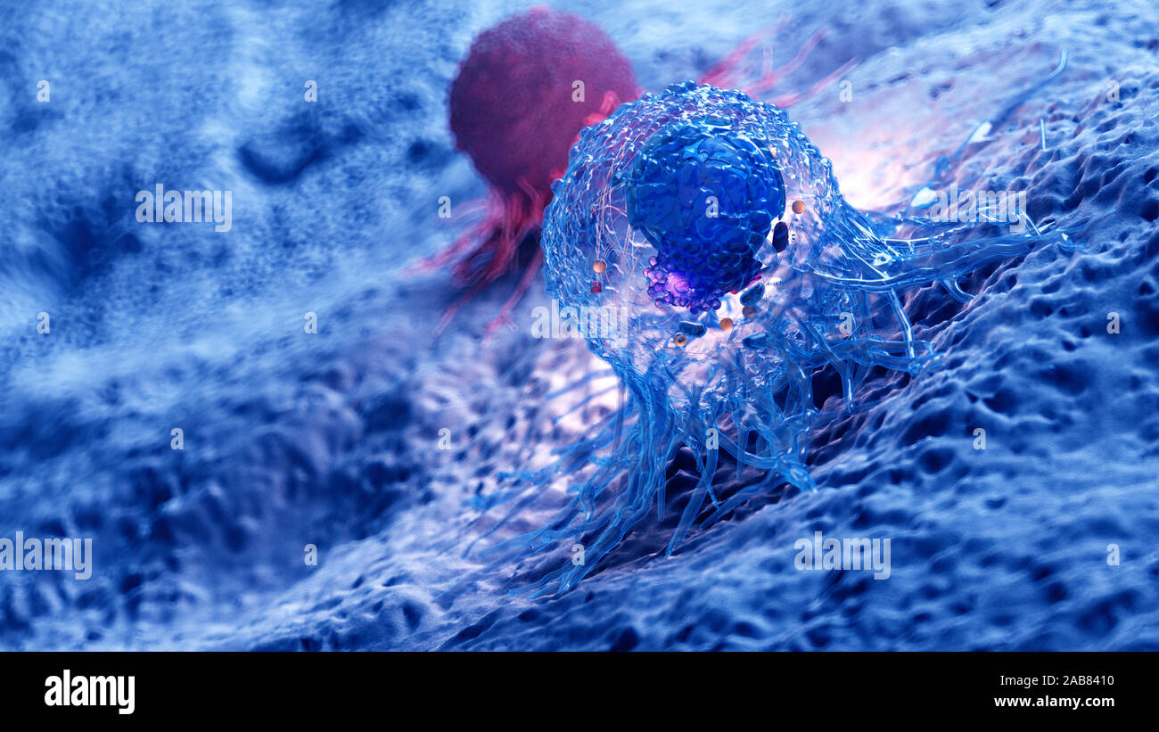 3d rendered illustration of the anatomy of a cancer cell Stock Photo ...