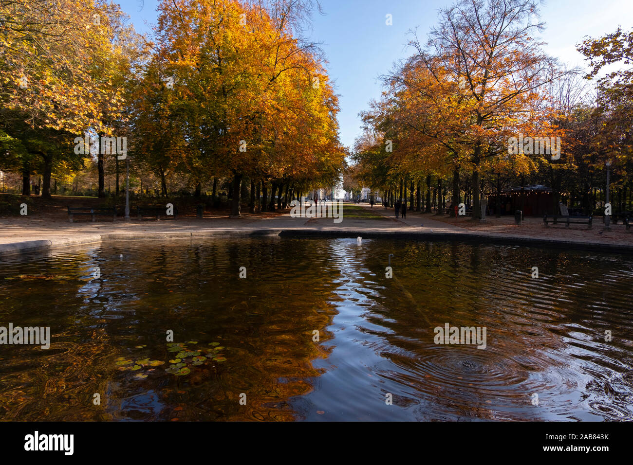Alley in Parc de Bruxelles or Warandepark, the largest urban public ...