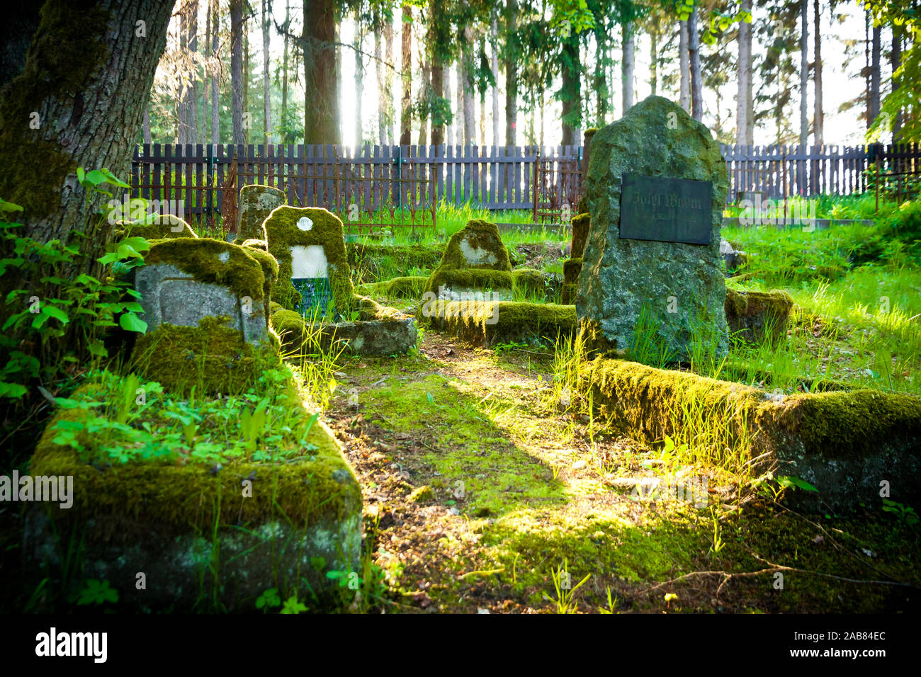 Forgotten tomb hi-res stock photography and images - Alamy