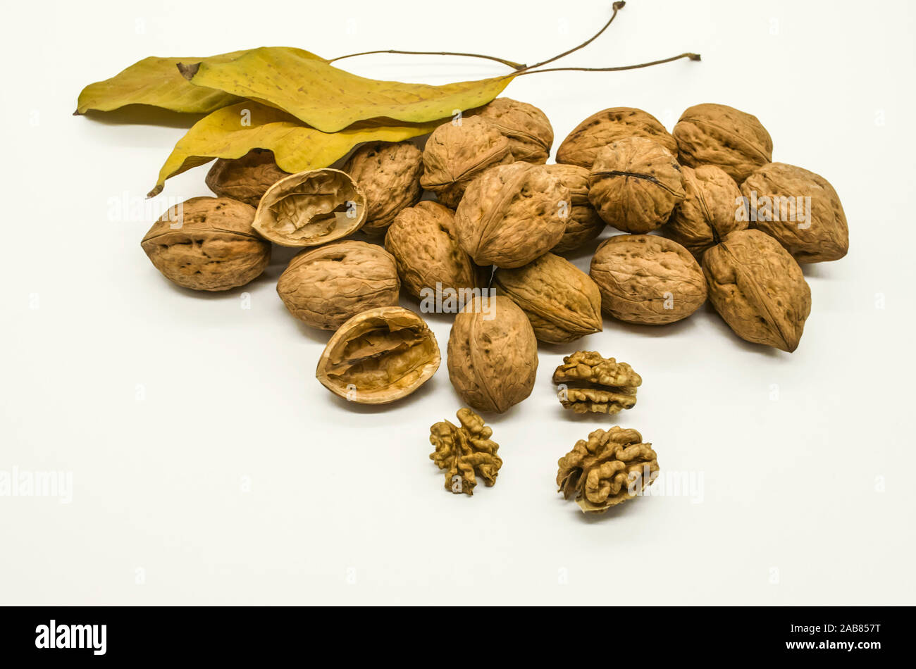 Yellowed leaves with ripe walnut seeds in the shell, peeled kernels ...