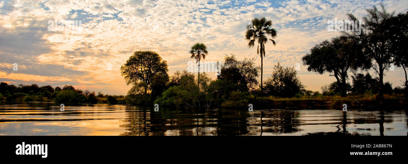 Panorama of the Zambeze river at sunset, Zambia Stock Photo - Alamy