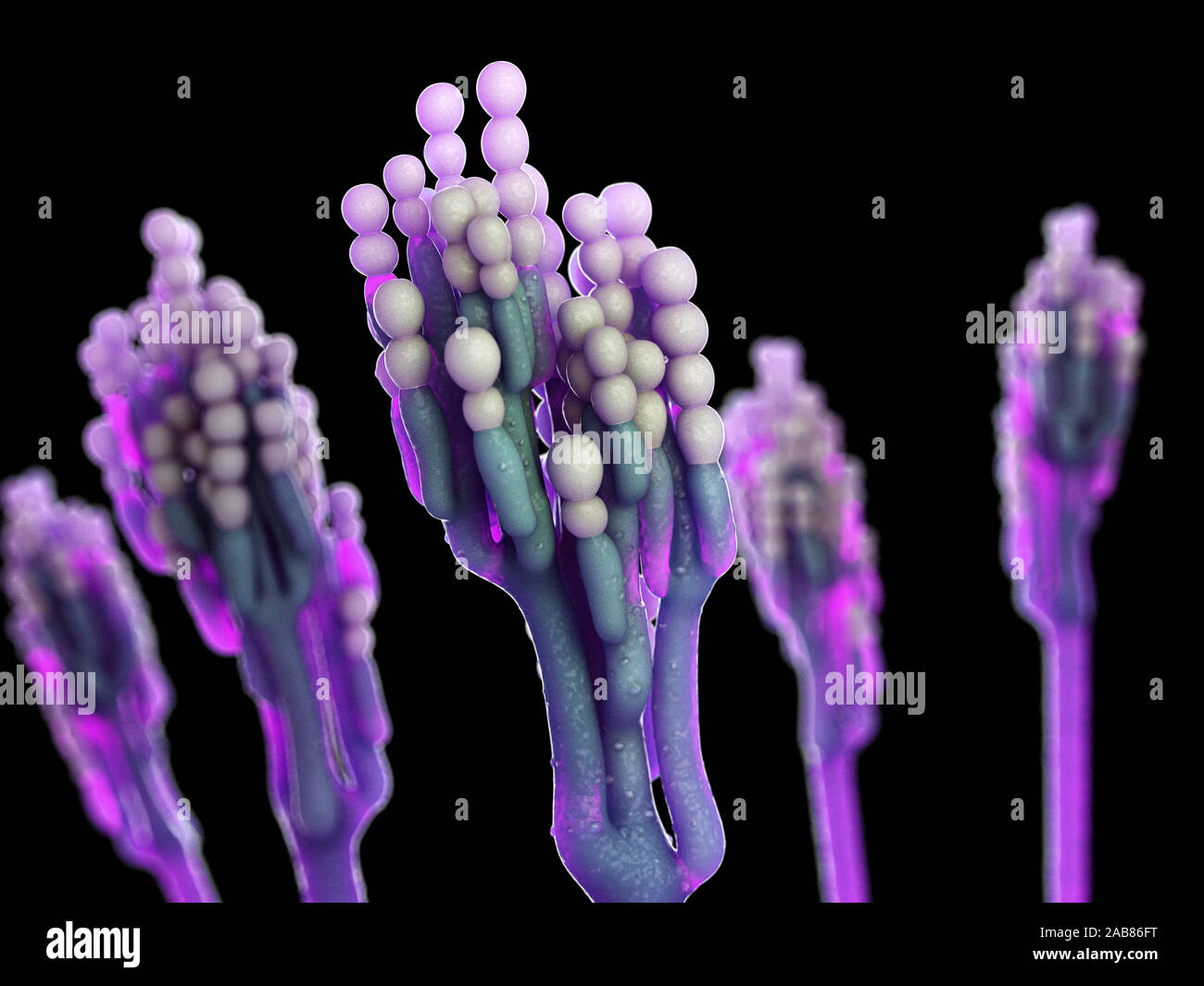 3d rendered illustration of the penicillium mold Stock Photo - Alamy