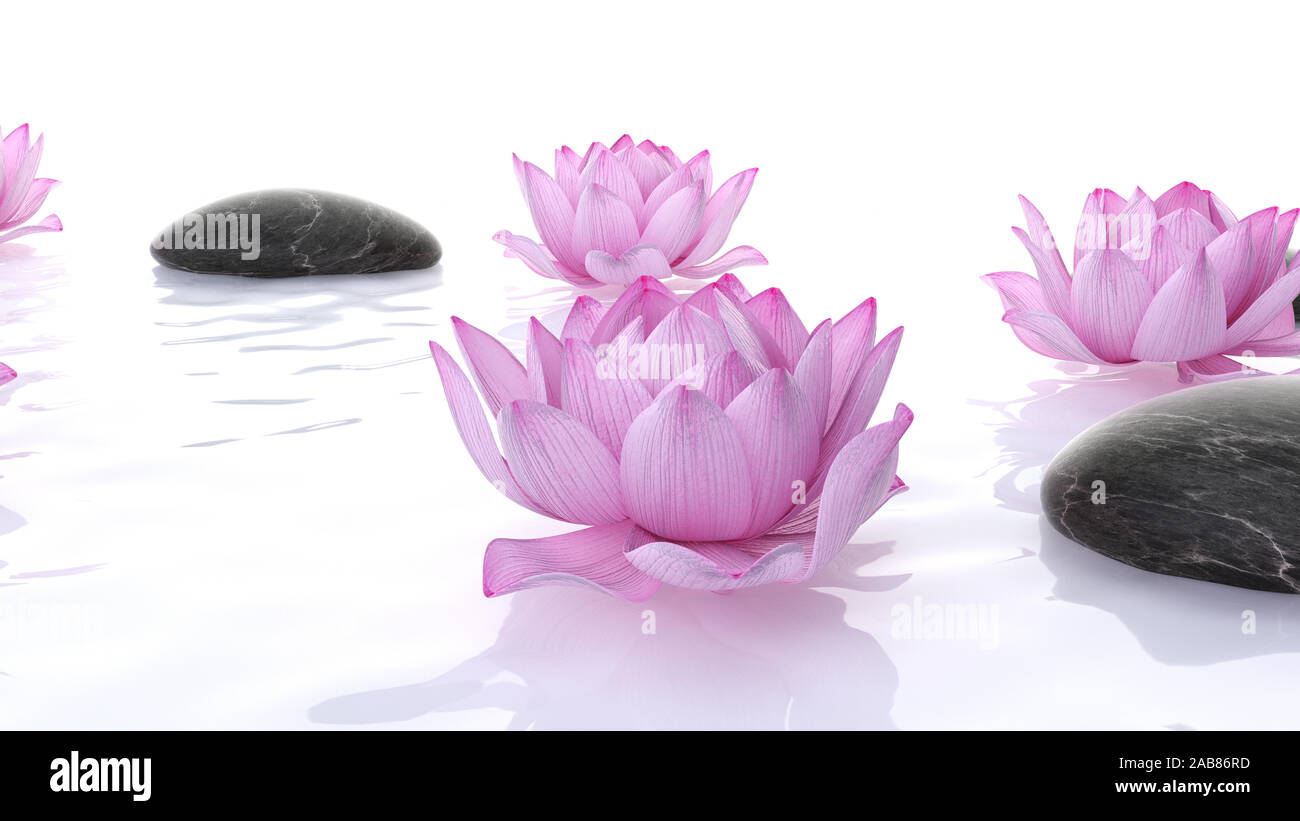 3d rendering lotus flowers hi-res stock photography and images - Alamy