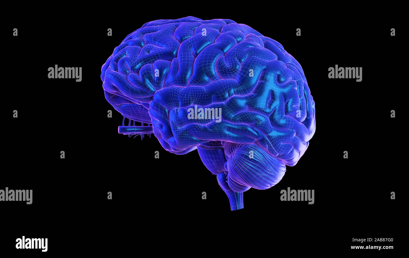 3d rendered synthwave style illustration of a human brain Stock Photo ...