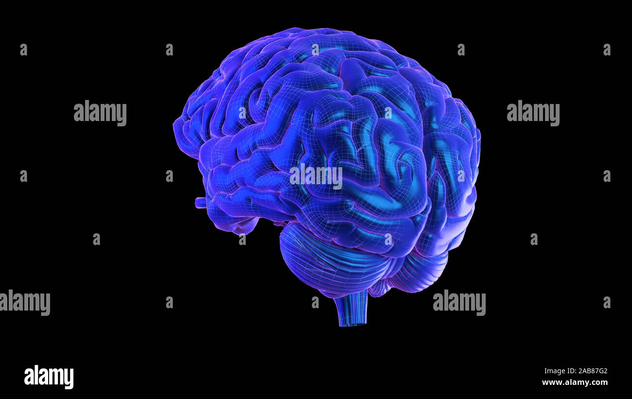 3d rendered synthwave style illustration of a human brain Stock Photo ...