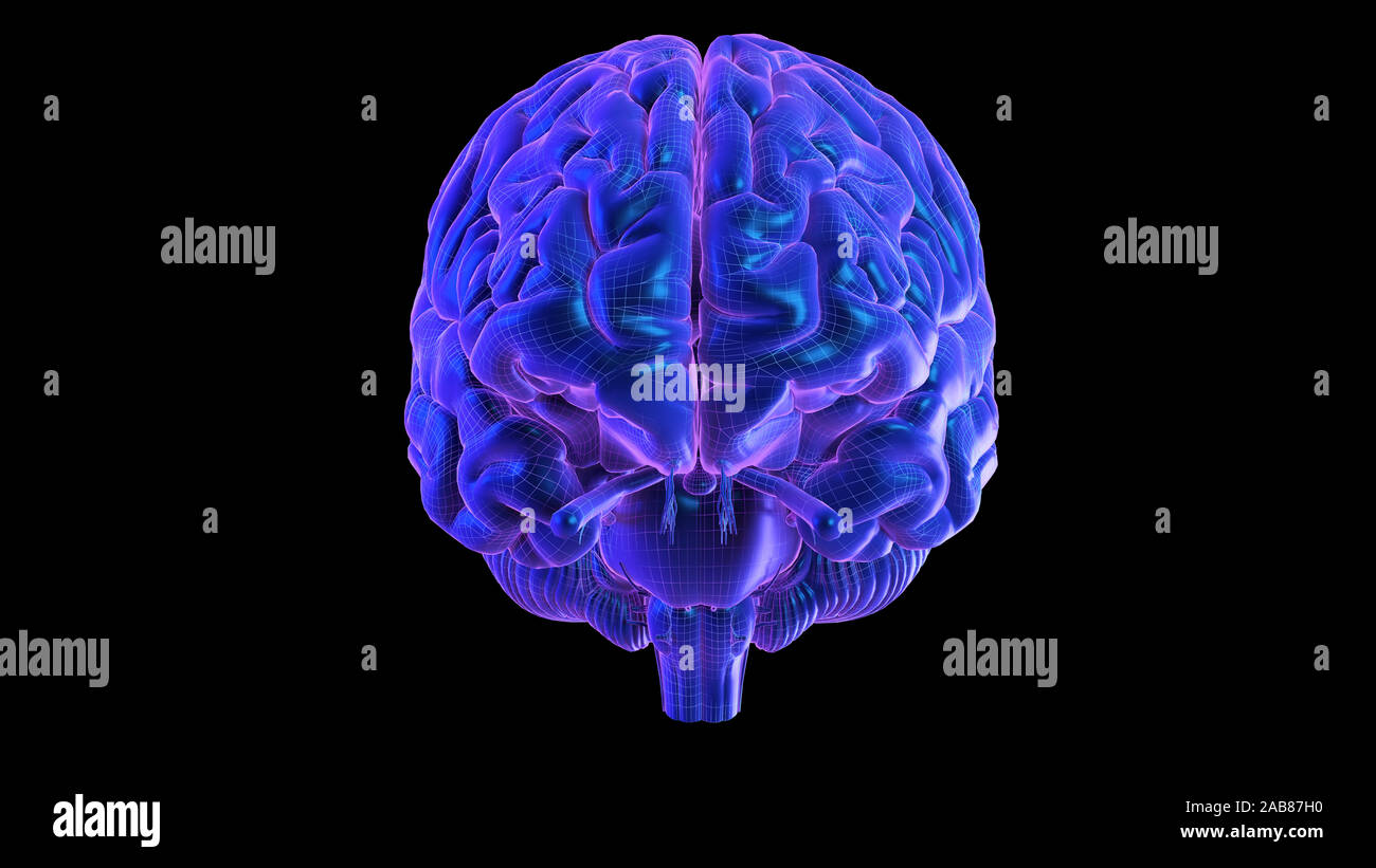 3d rendered synthwave style illustration of a human brain Stock Photo ...