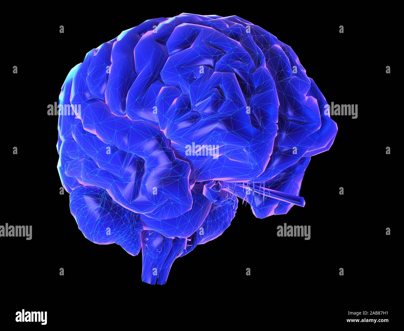 3d rendered synthwave style illustration of a human brain Stock Photo ...