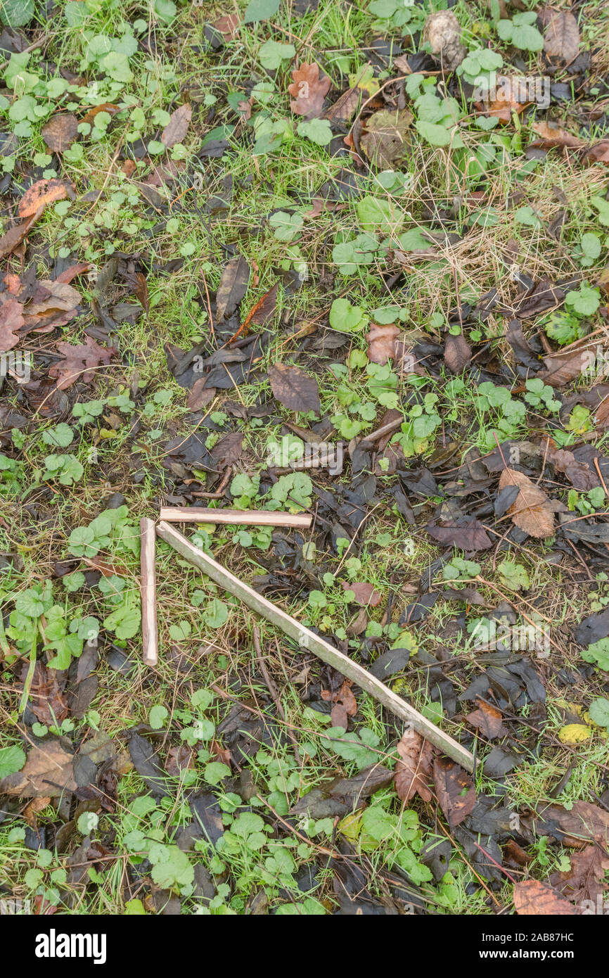 Survival skills concept. Signal arrow on leaves showing 'proceed this ...