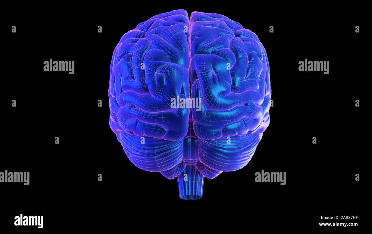 3d rendered synthwave style illustration of a human brain Stock Photo ...