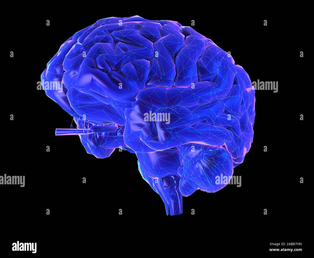 3d rendered synthwave style illustration of a human brain Stock Photo ...