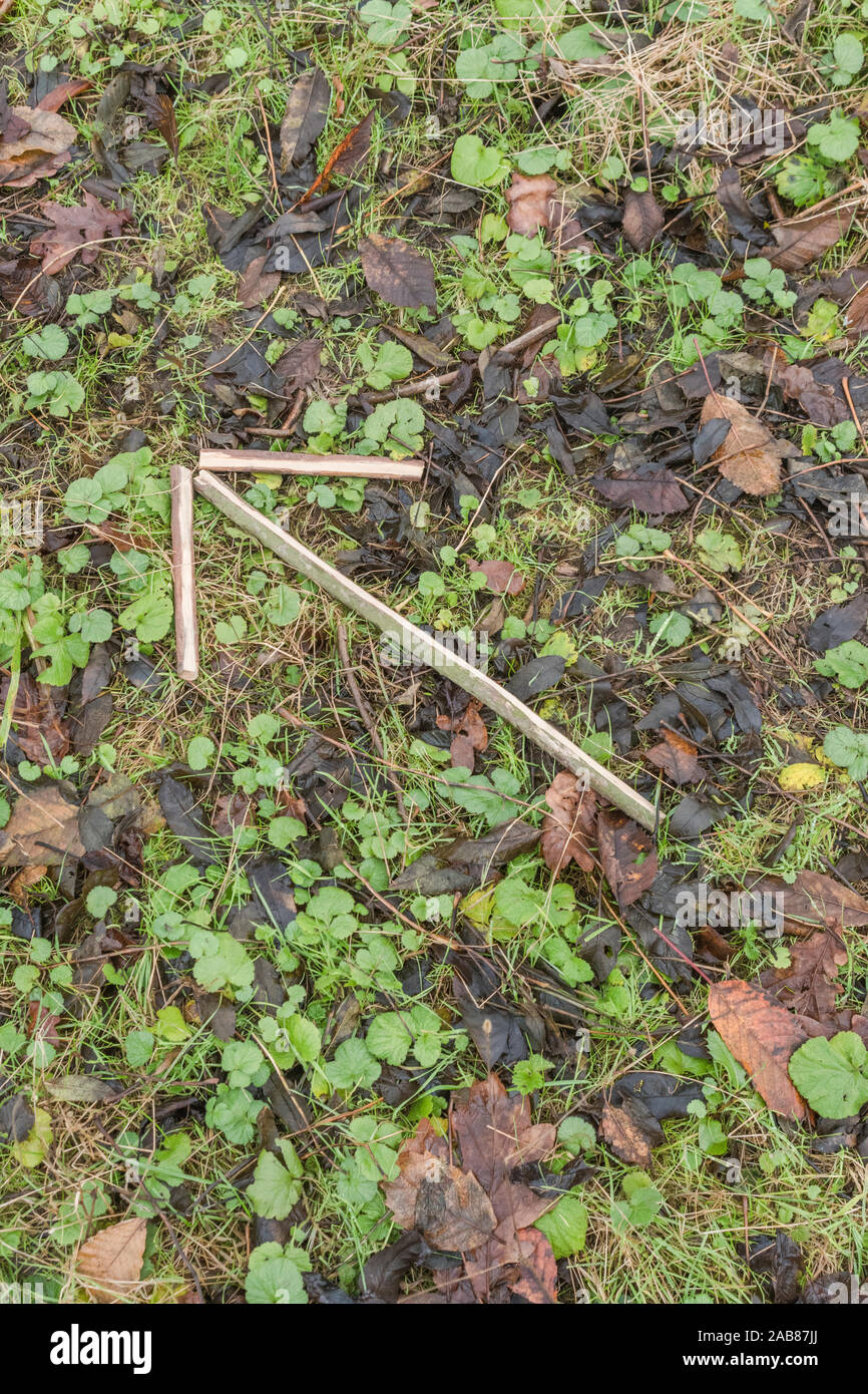 Survival skills concept. Signal arrow on leaves showing 'proceed this ...