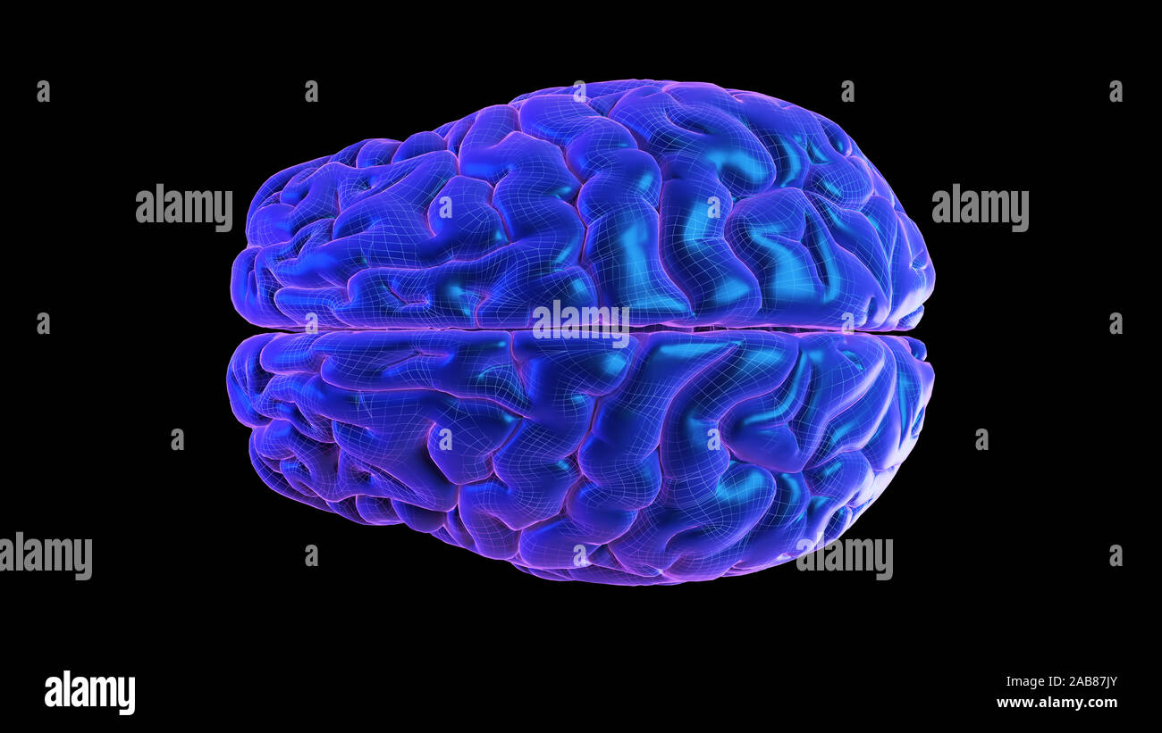3d rendered synthwave style illustration of a human brain Stock Photo ...