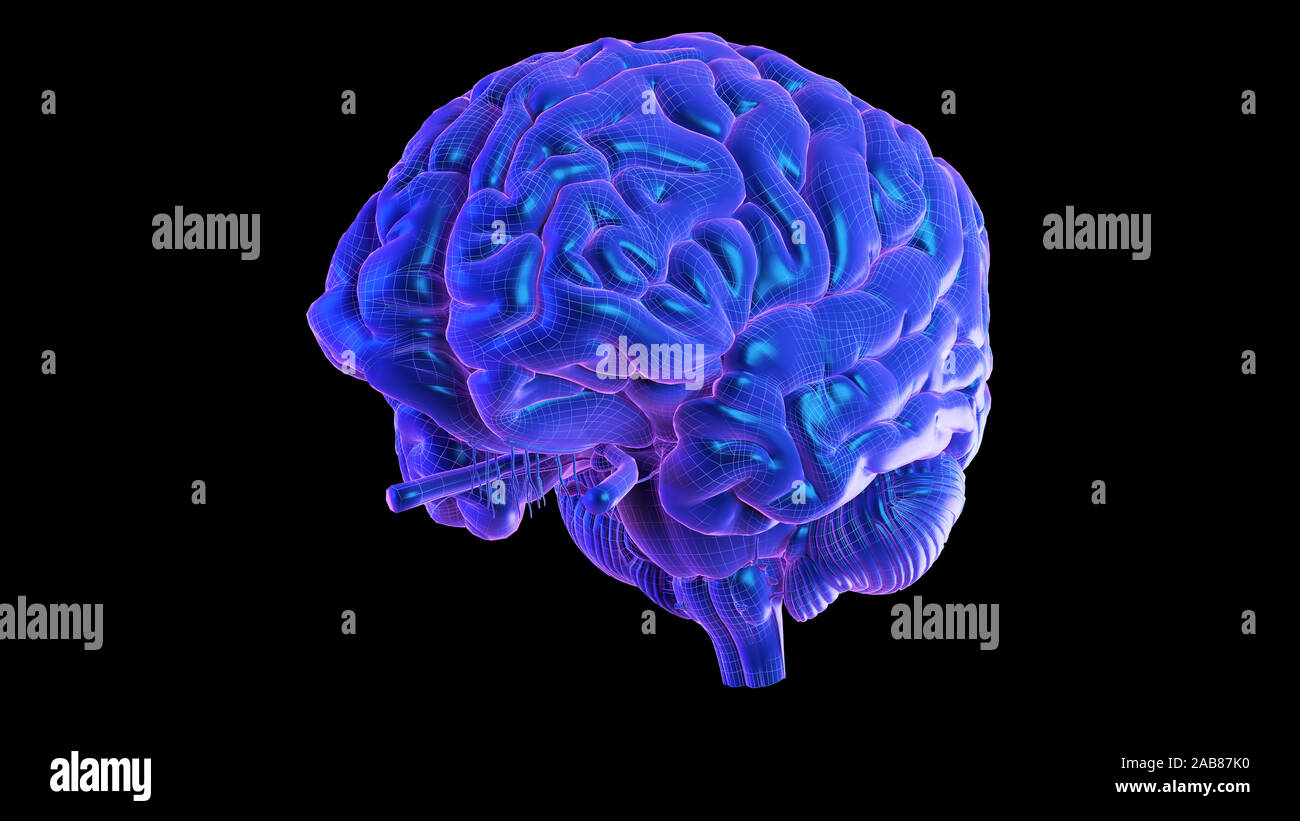 3d rendered synthwave style illustration of a human brain Stock Photo ...