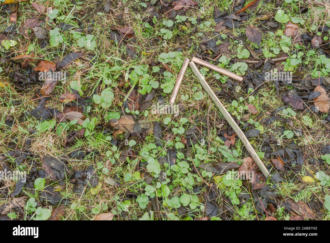 Survival skills concept. Signal arrow on leaves showing 'proceed this ...